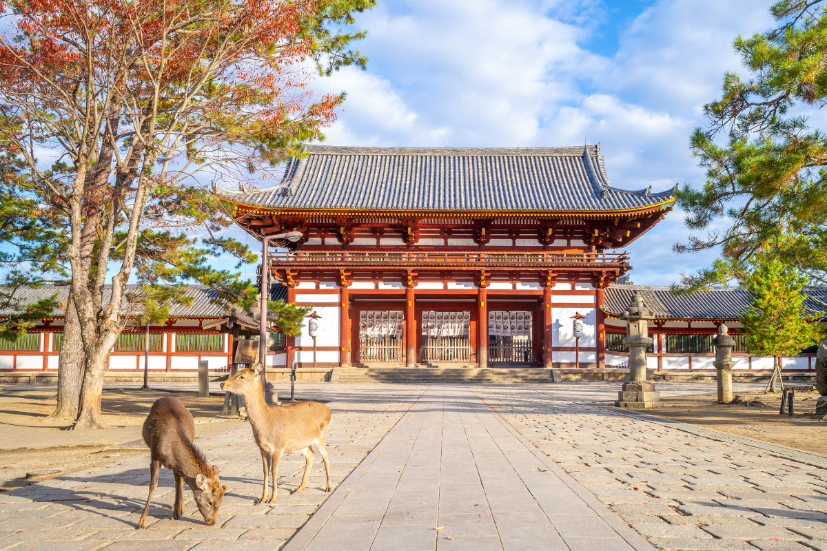 8 Tempat Wisata di Nara Jepang yang Terkenal, dari Kuil Bersejarah ...
