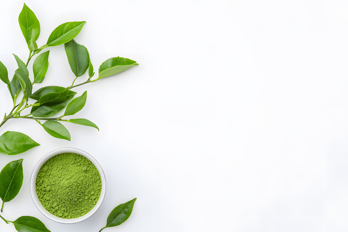 Ocha Terbuat dari Apa? Ini Perbedaanya dengan Matcha! - ITO EN